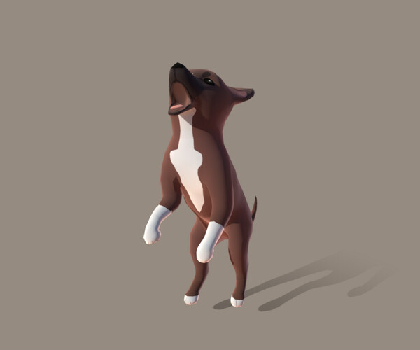 ArtStation - DOG Full Animations - Basenji | Game Assets