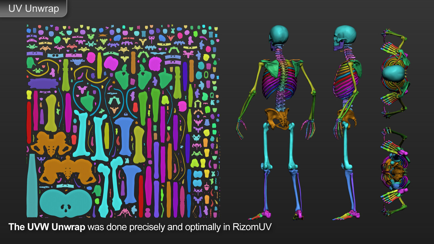 ArtStation - Human Male [ Skeleton - Basemesh ] | Resources