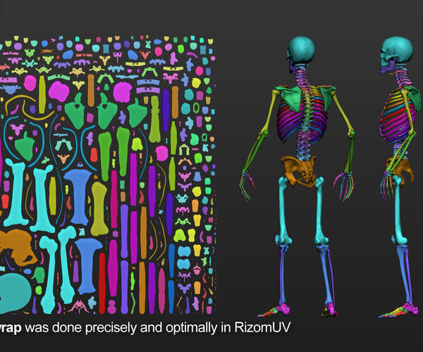 ArtStation - Human Male [ Skeleton - Basemesh ] | Resources