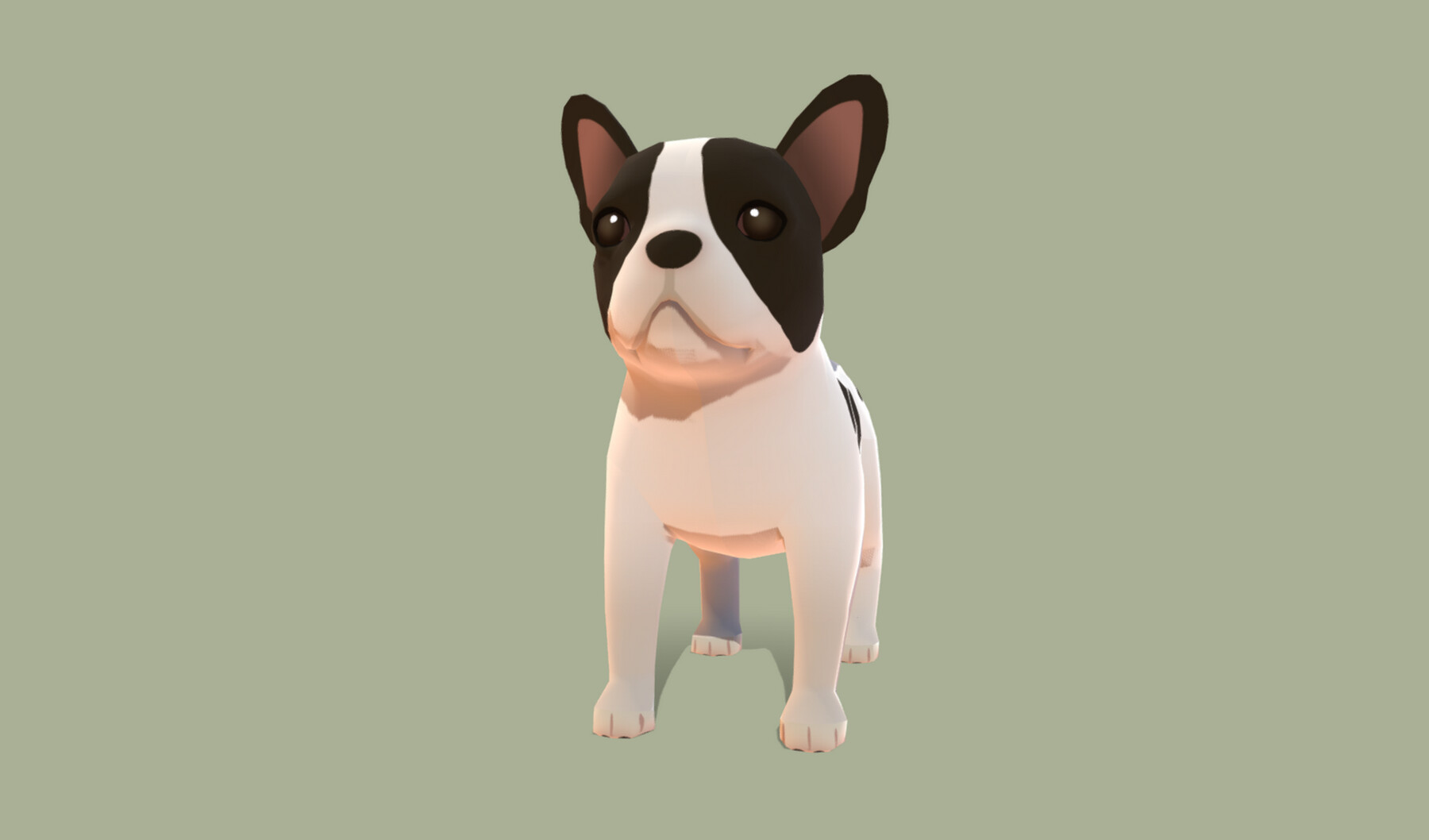 ArtStation - DOG Full Animations - Boston Terrier | Game Assets