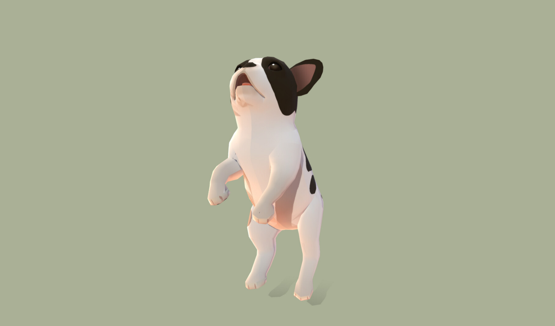 ArtStation - DOG Full Animations - Boston Terrier | Game Assets