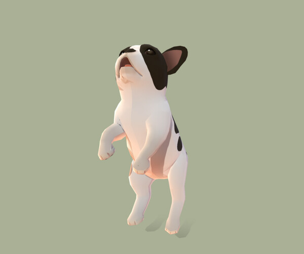 ArtStation - DOG Full Animations - Boston Terrier | Game Assets