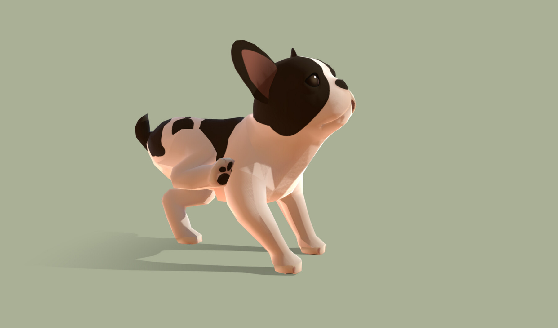 ArtStation - DOG Full Animations - Boston Terrier | Game Assets