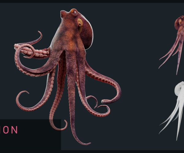 ArtStation - Animated Octopus- Common Octopus | Game Assets