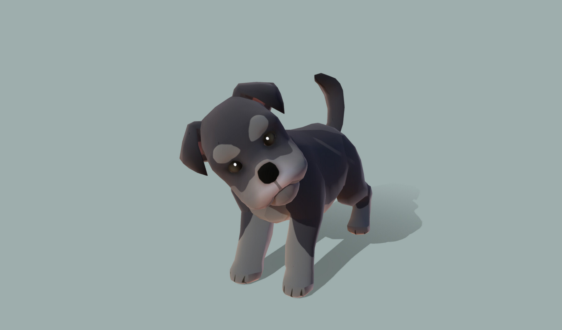 ArtStation - DOG Full Animations - Schnauzer | Game Assets