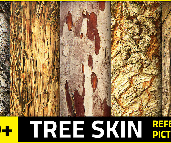 ArtStation - 550+ TREE SKIN Reference Pictures | Resources