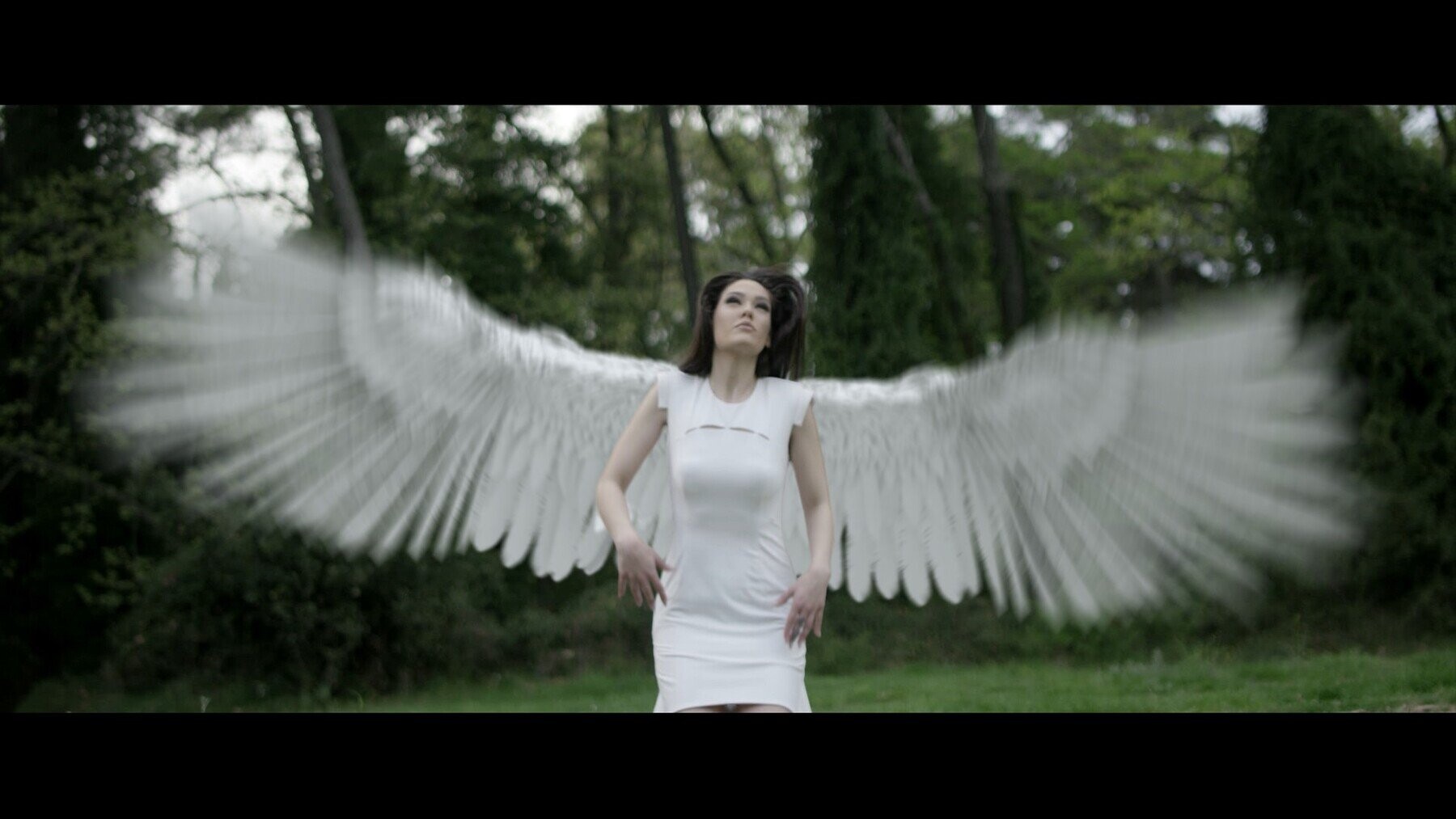 ArtStation - Angel Wings PNG Sequence (Tutorial in Description) | Resources