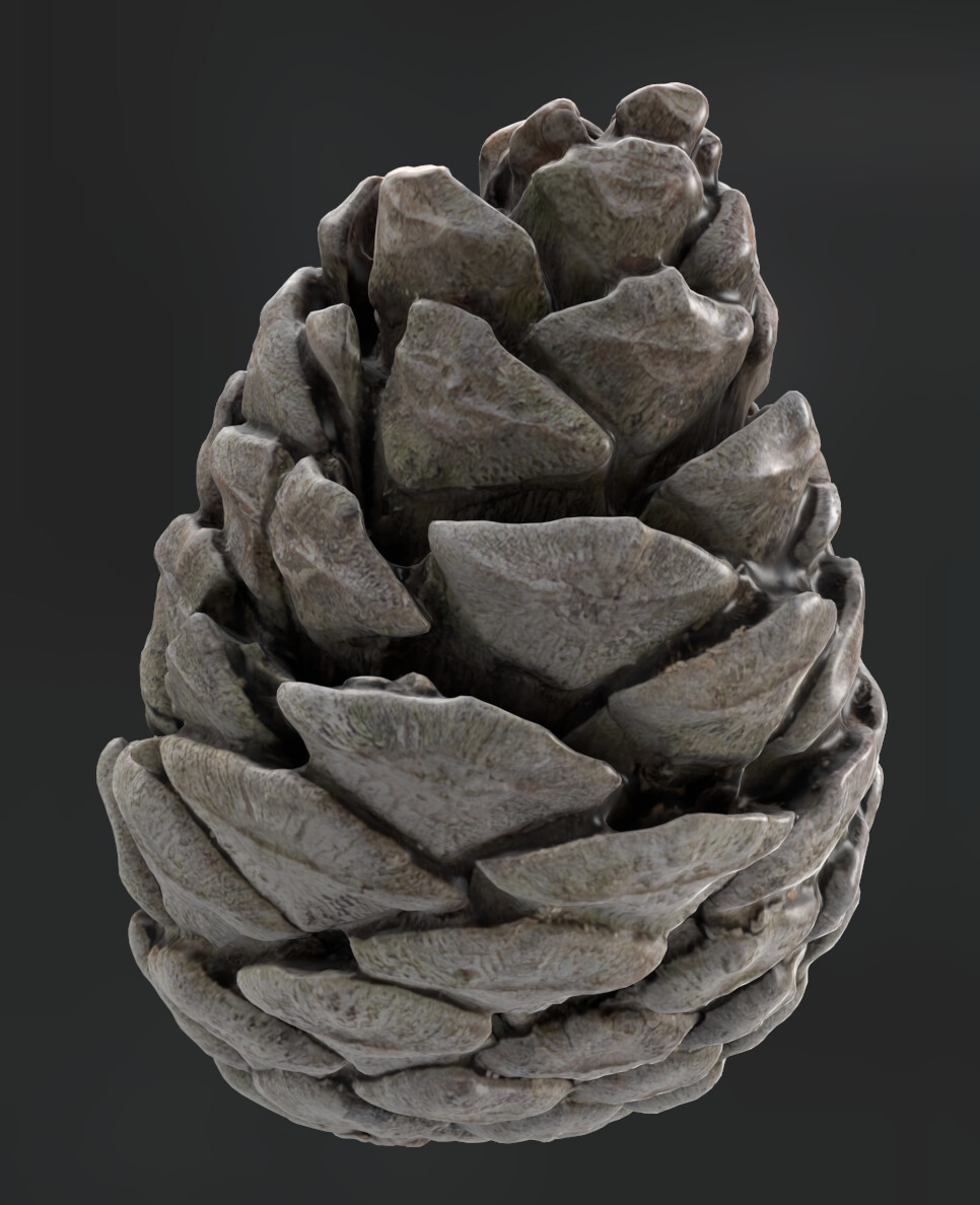 ArtStation - Pinecone from real! | Game Assets