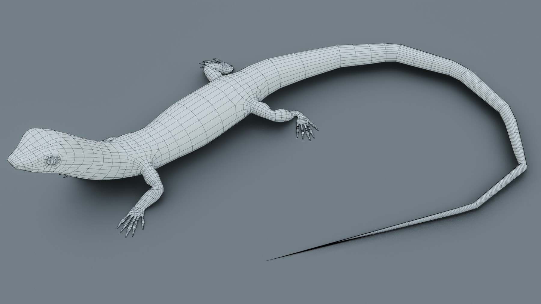 ArtStation - Lizard - Low Poly - Game Ready - PBR - Rigged - PBR | Game Assets