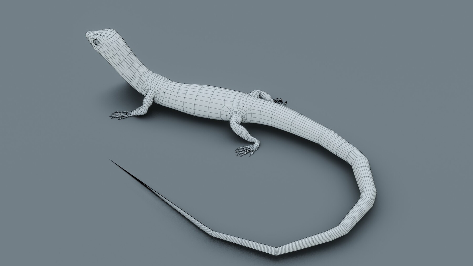 ArtStation - Lizard - Low Poly - Game Ready - PBR - Rigged - PBR | Game ...