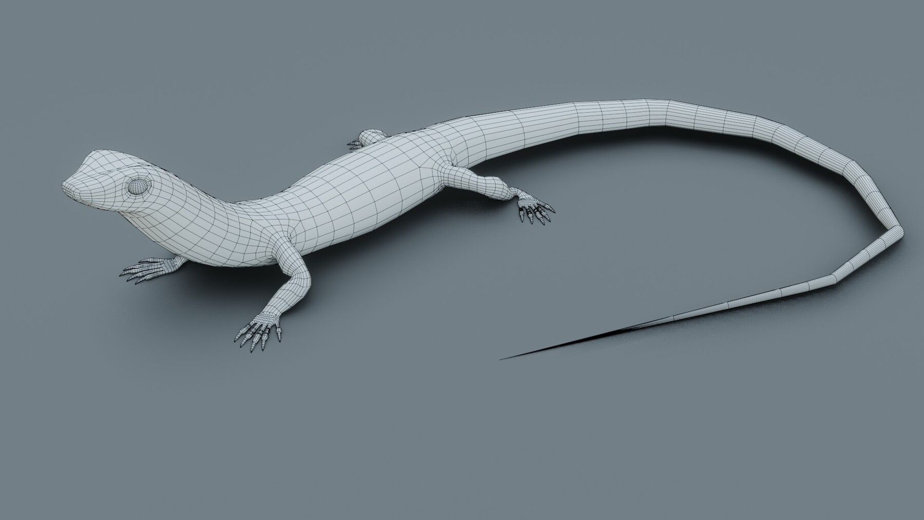 ArtStation - Lizard - Low Poly - Game Ready - PBR - Rigged - PBR | Game ...