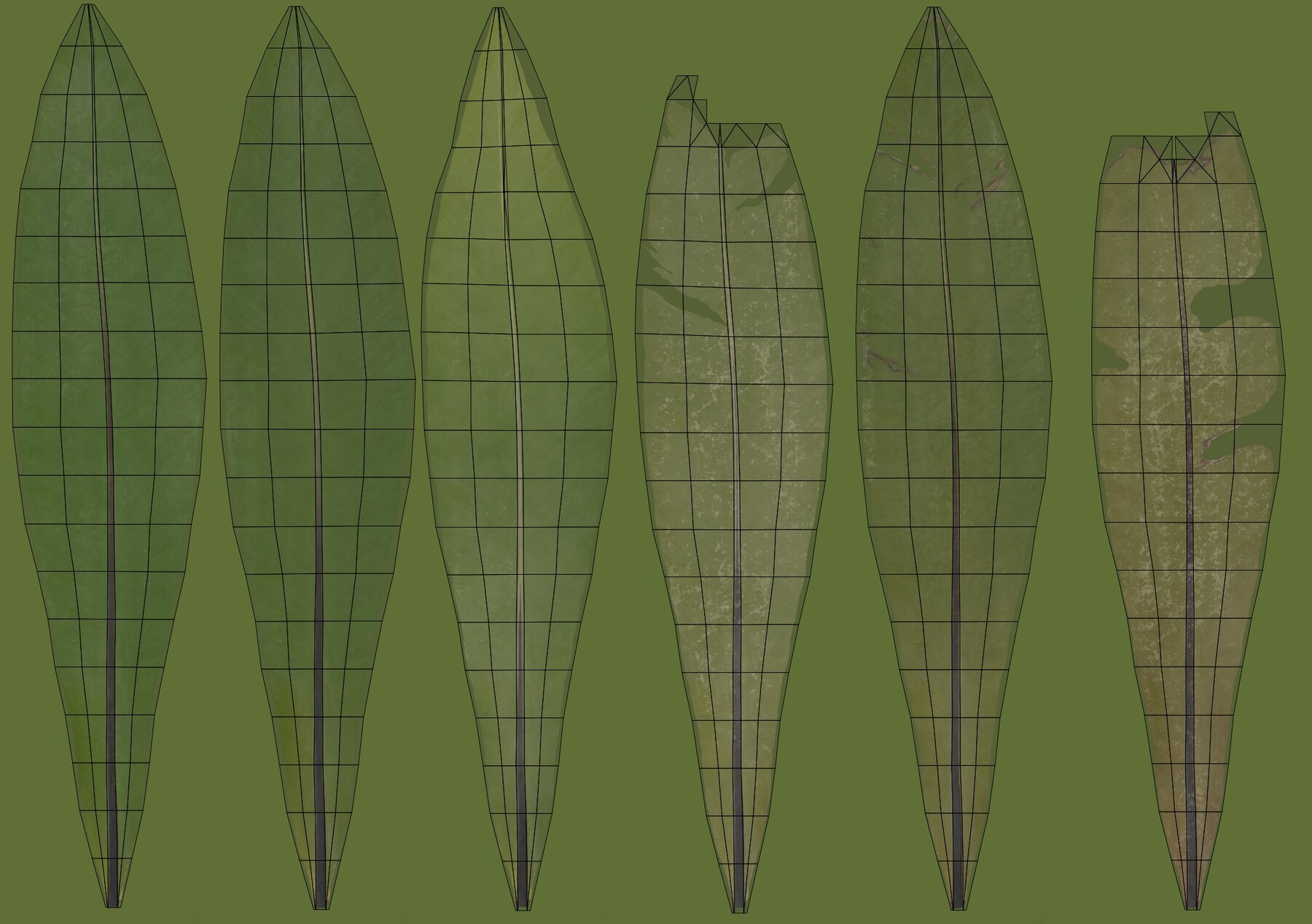 ArtStation - Birds Nest Fern | VFX Grace | Game Assets