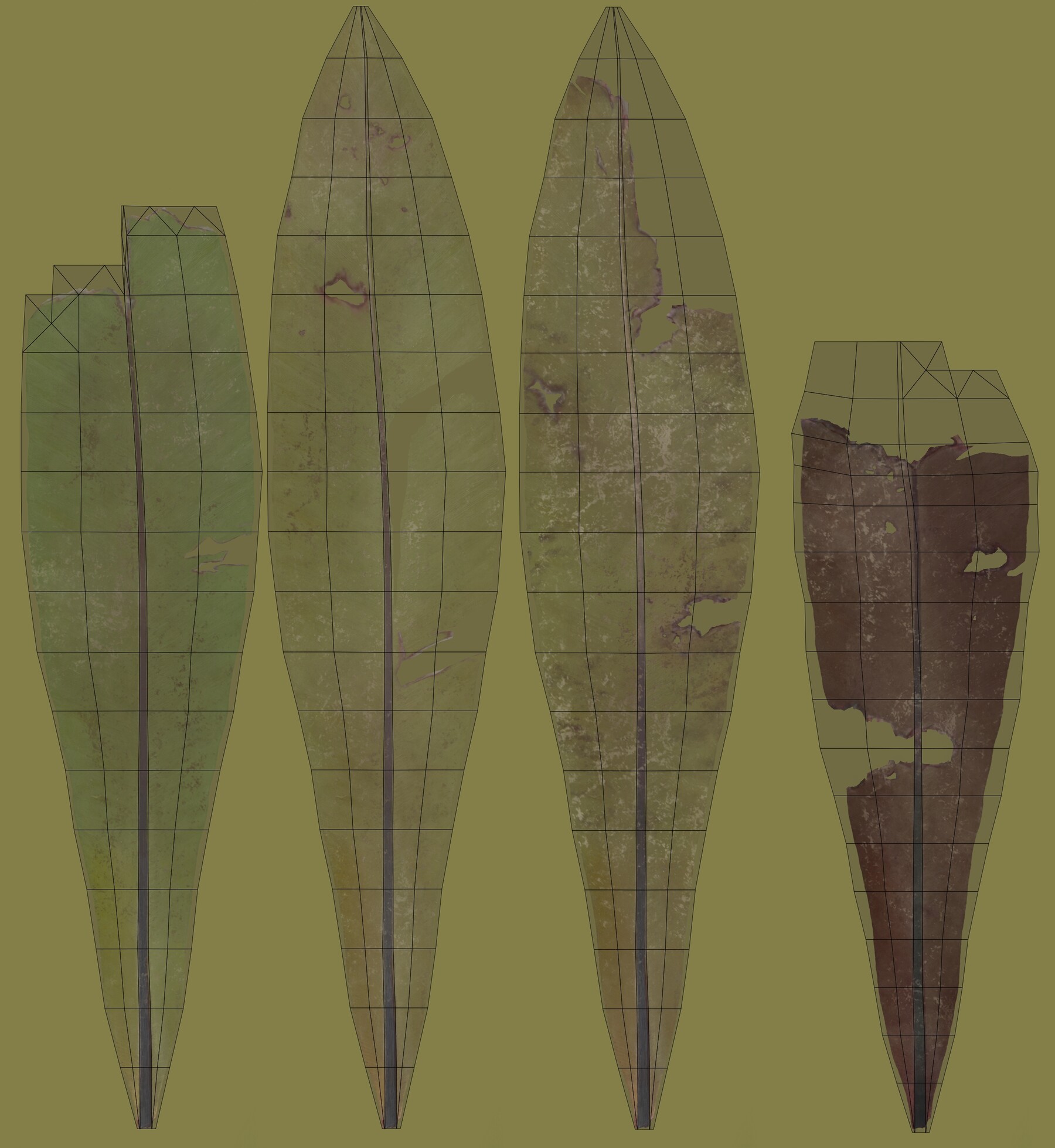 ArtStation - Birds Nest Fern | VFX Grace | Game Assets