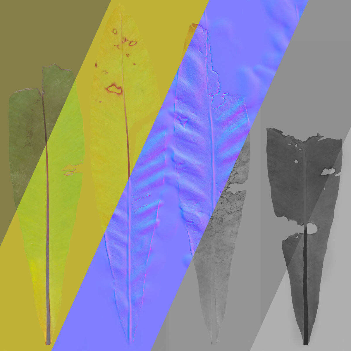 ArtStation - Birds Nest Fern | VFX Grace | Game Assets