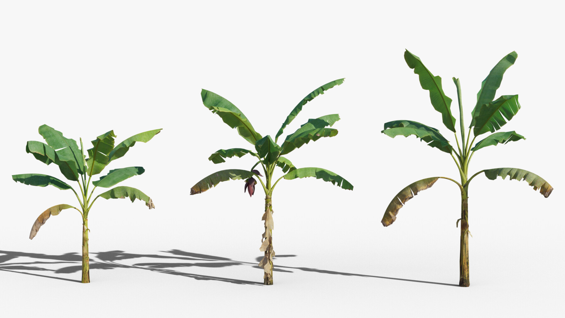 ArtStation - Musa basjoo | VFX Grace | Game Assets