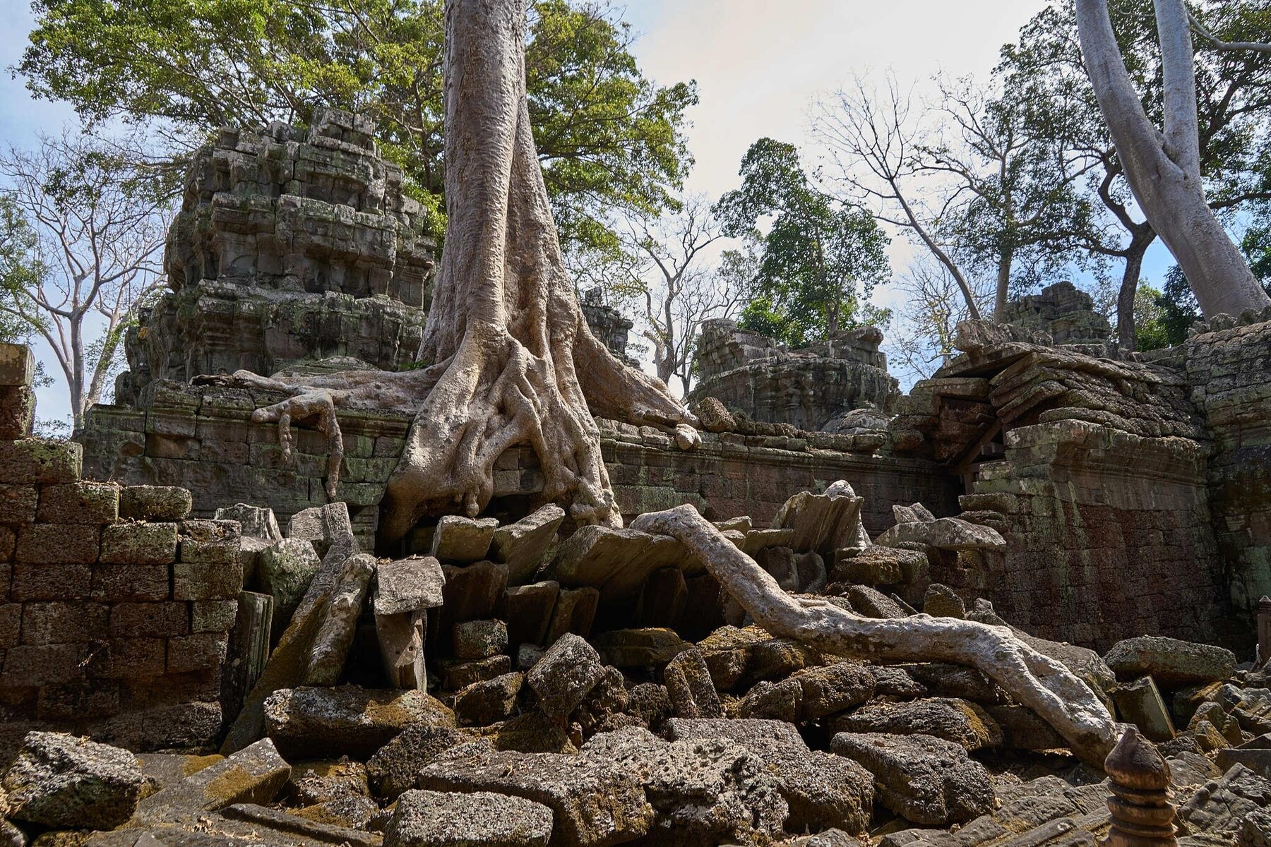 ArtStation - 266 photos of Tomb Raider Overgrown Ancient Temple | Resources
