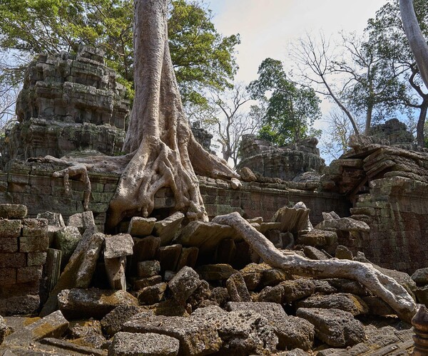 ArtStation - 266 photos of Tomb Raider Overgrown Ancient Temple | Resources