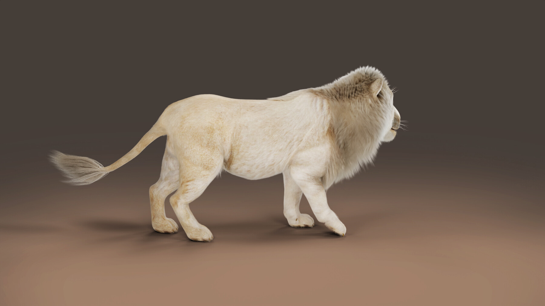 ArtStation - Fur White Lion Rigged and Animation in Blender | Game Assets