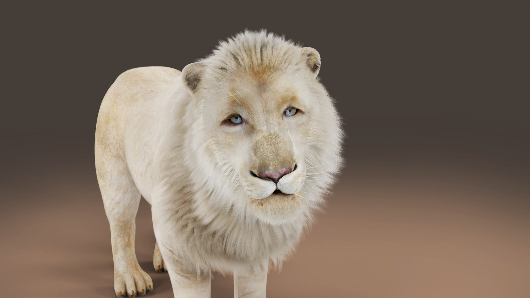 ArtStation - Fur White Lion Rigged and Animation in Blender | Game Assets