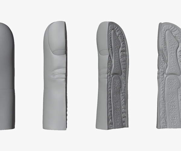 ArtStation - Finger and Fingernail Cross Section Anatomy | Resources