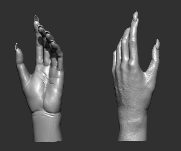 ArtStation - 8 IMM Creature & Monster hands set (OBJ & ZTOOL FILES ...