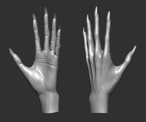 ArtStation - 8 IMM Creature & Monster hands set (OBJ & ZTOOL FILES ...