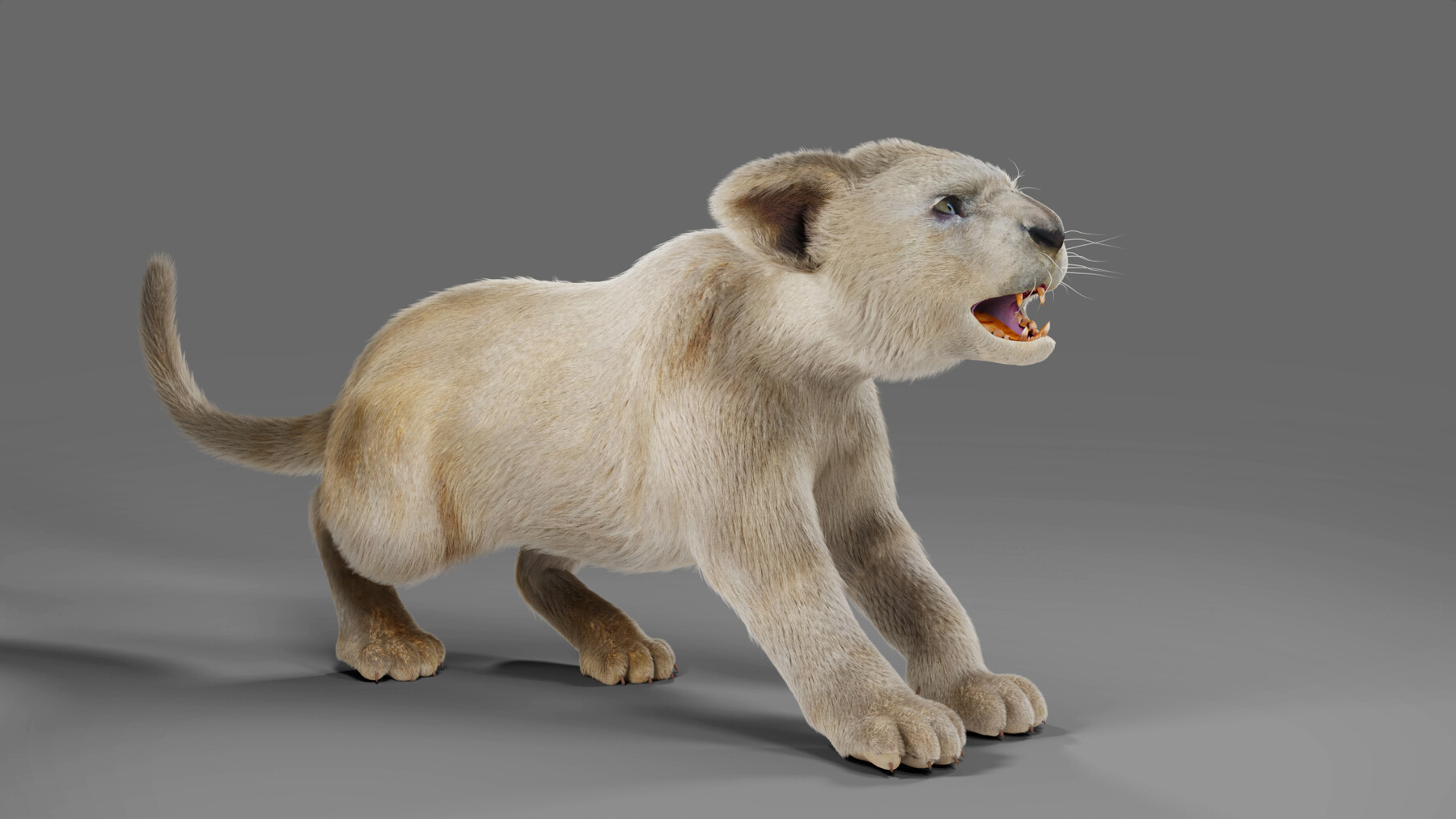 ArtStation - Fur White Lion Cub Rigged and Animated in Blender | Game ...