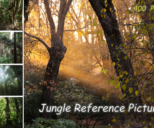 ArtStation - 400 Jungle Reference Pictures | Resources