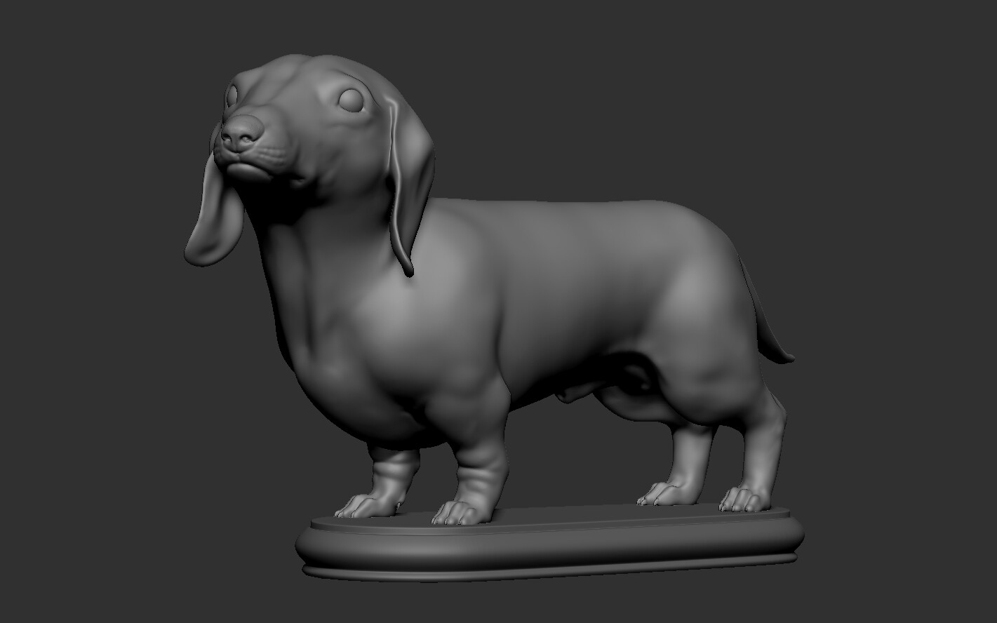 ArtStation - Dachshund | Resources