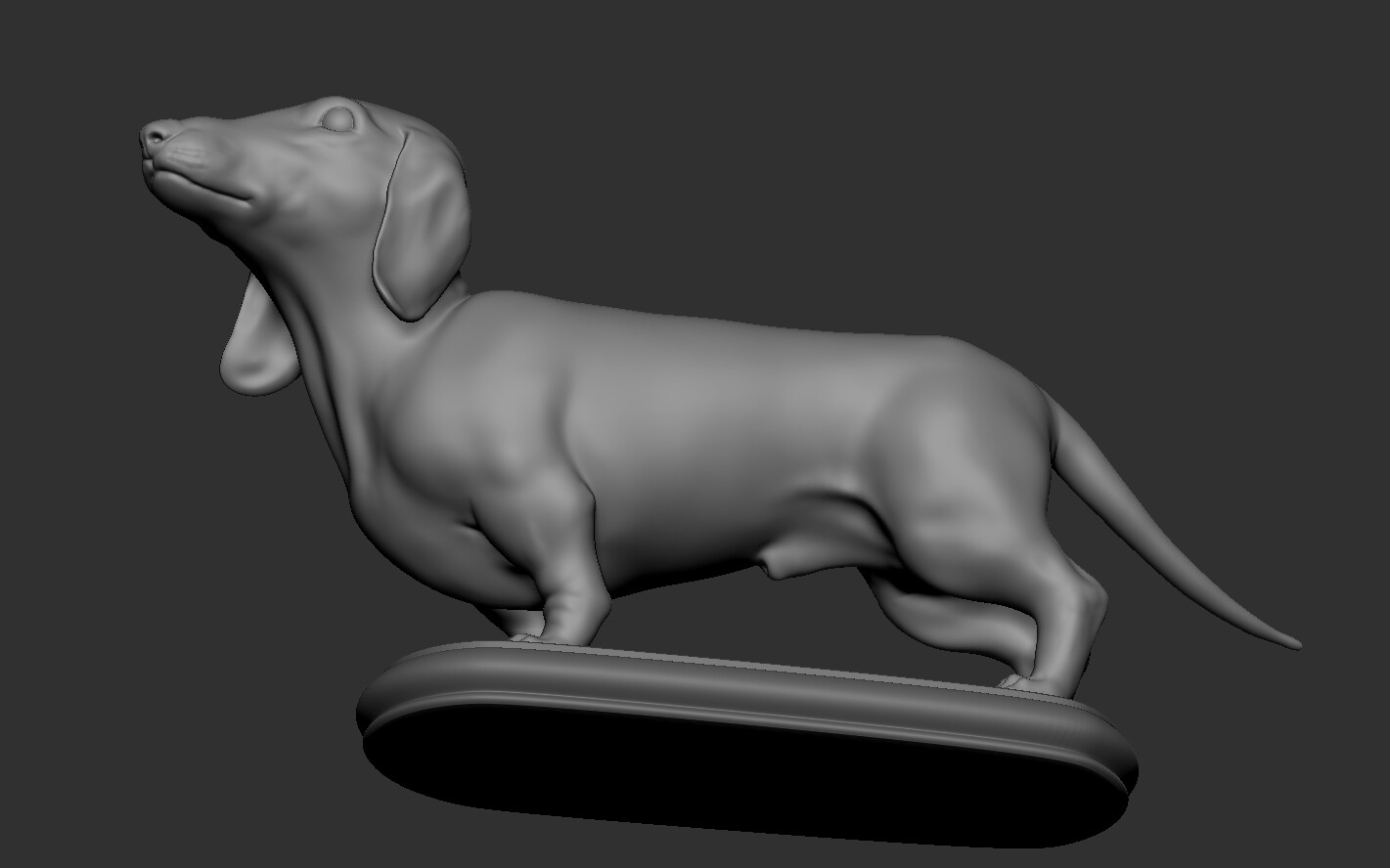 ArtStation - Dachshund | Resources