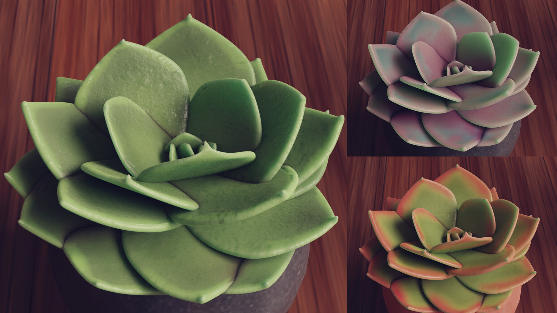 ArtStation - Collection of Succulent Plants Plants Vol 03 | Game Assets
