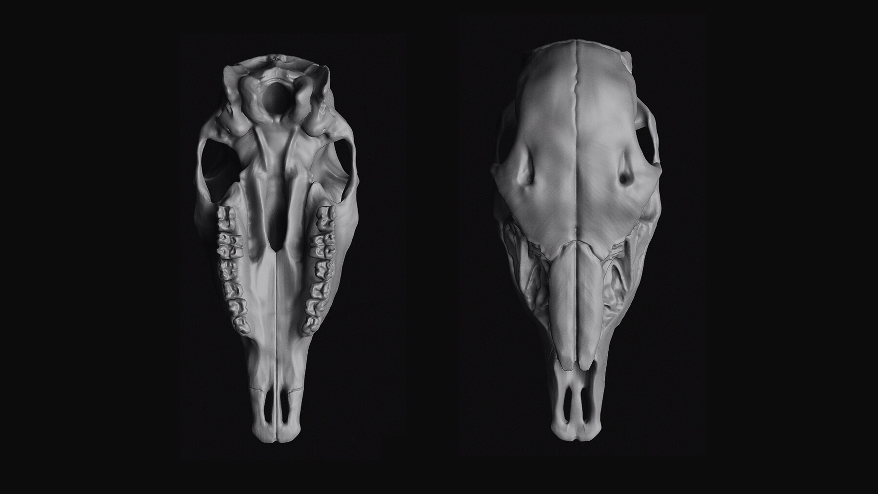 ArtStation - Deer Skull 3D model | Resources