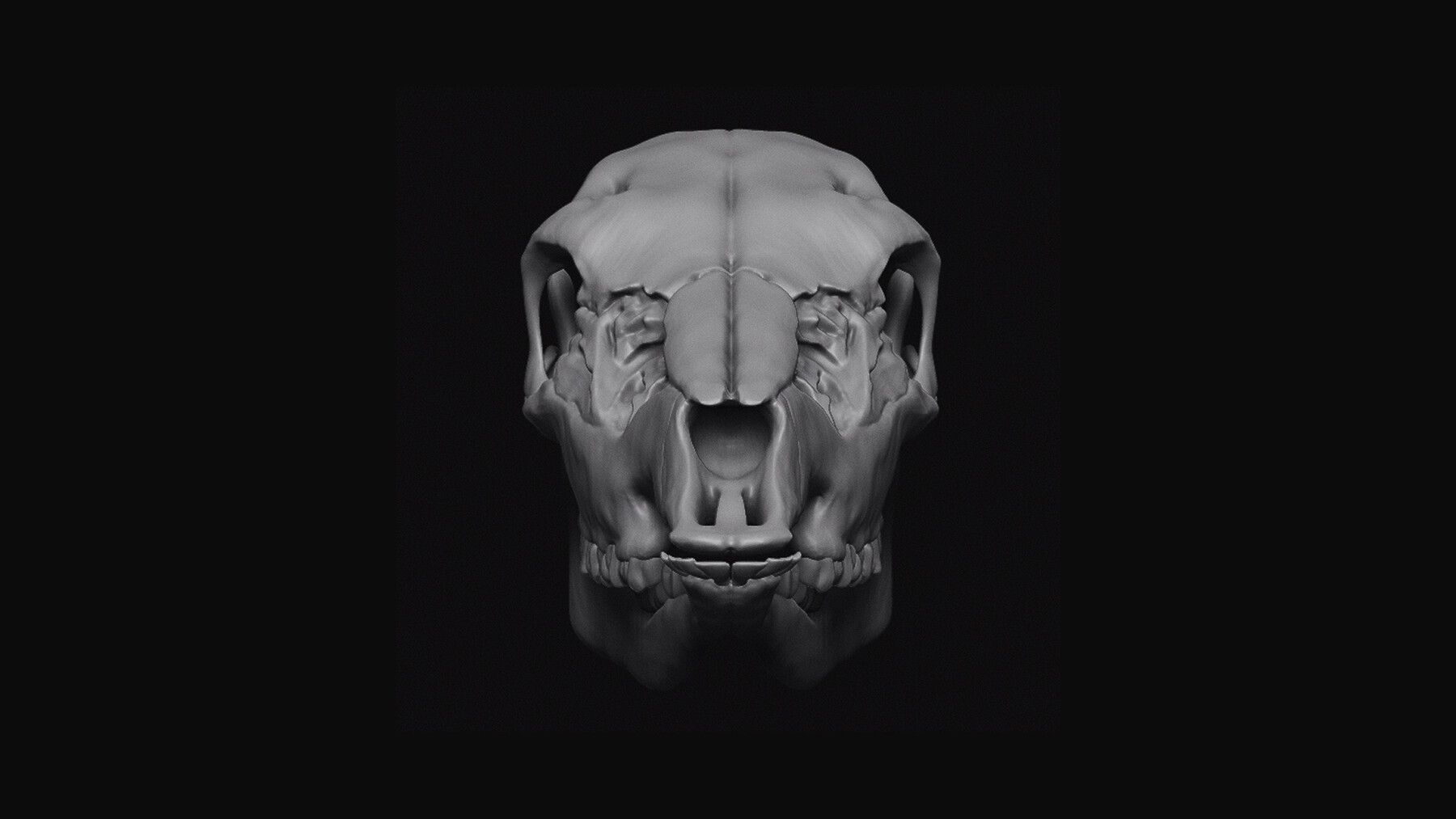 ArtStation - Deer Skull 3D model | Resources