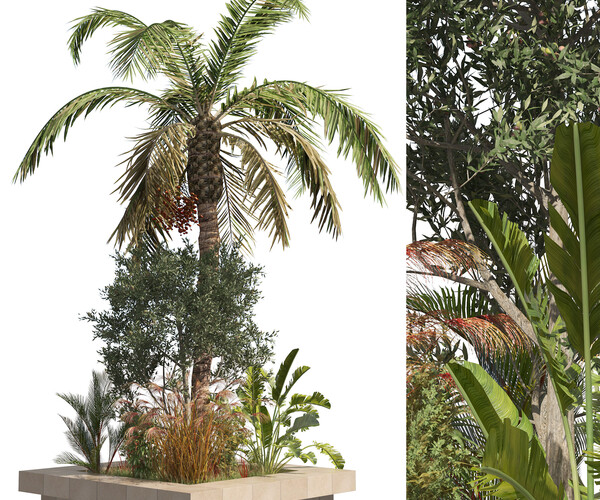 ArtStation - Garden Island plants | Resources