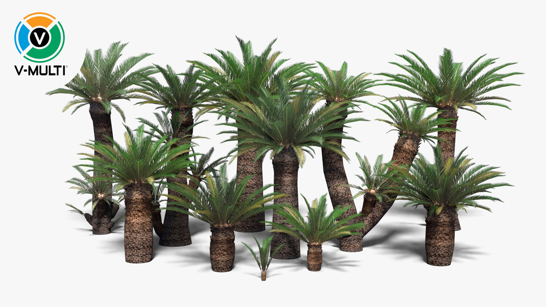 ArtStation - 3D Model: Low Poly Cycads Collection | Resources