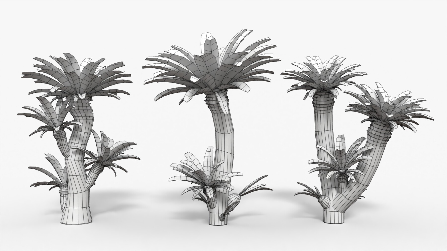 ArtStation - 3D Model: Low Poly Cycads Collection | Resources