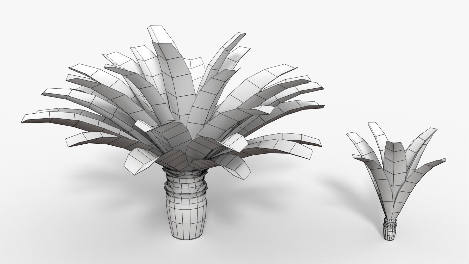 ArtStation - 3D Model: Low Poly Cycads Collection | Resources