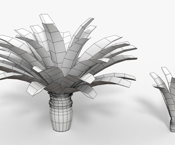 ArtStation - 3D Model: Low Poly Cycads Collection | Resources