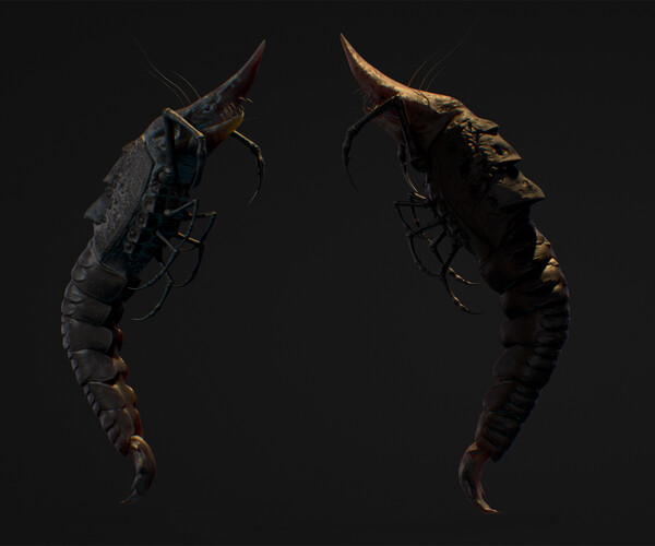 ArtStation - Fish low poly model / Caridean Shrimp fish lowpoly / ocean ...