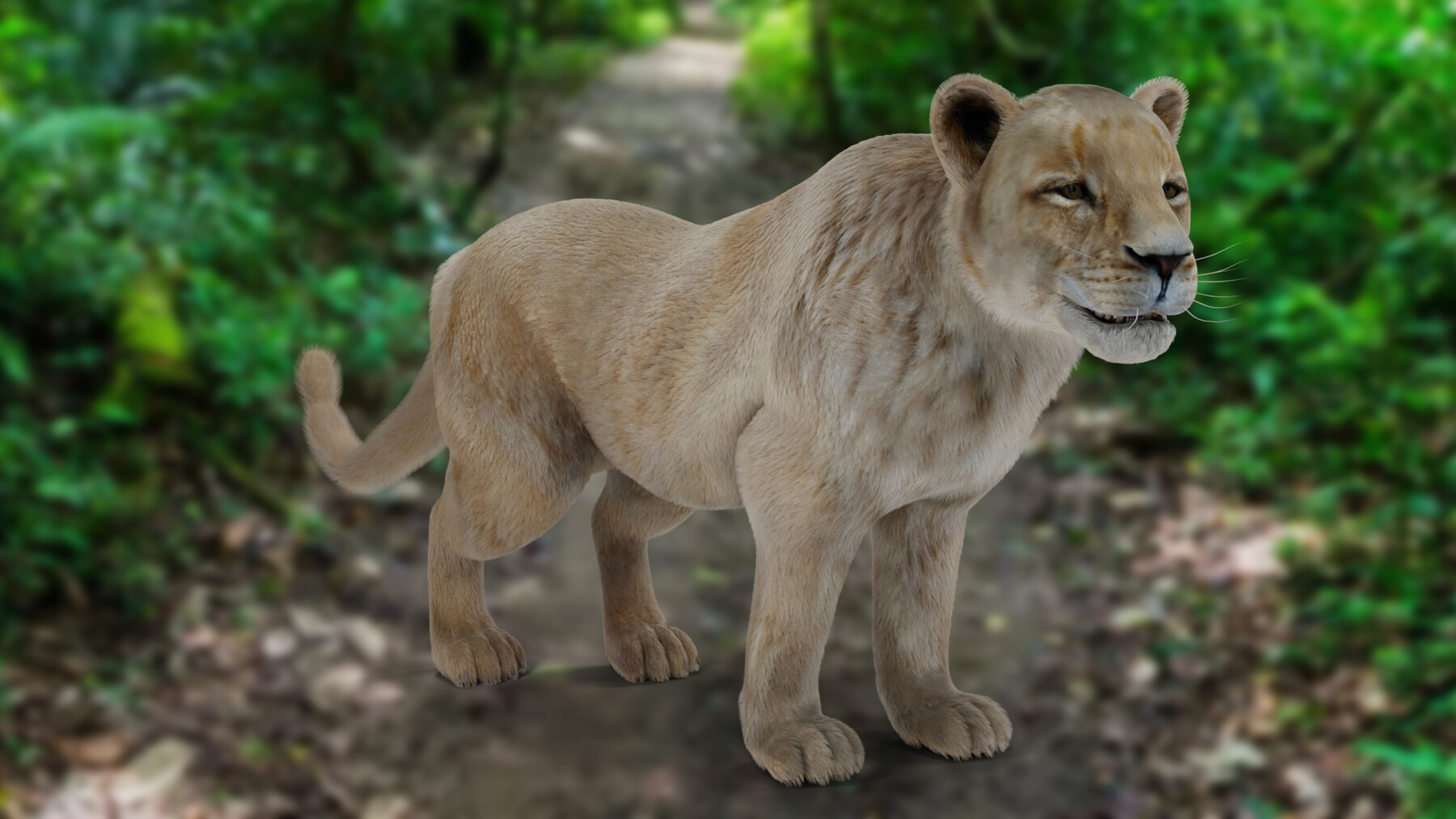 ArtStation - Fur Lioness Rigged and Animation in Blender | Game Assets