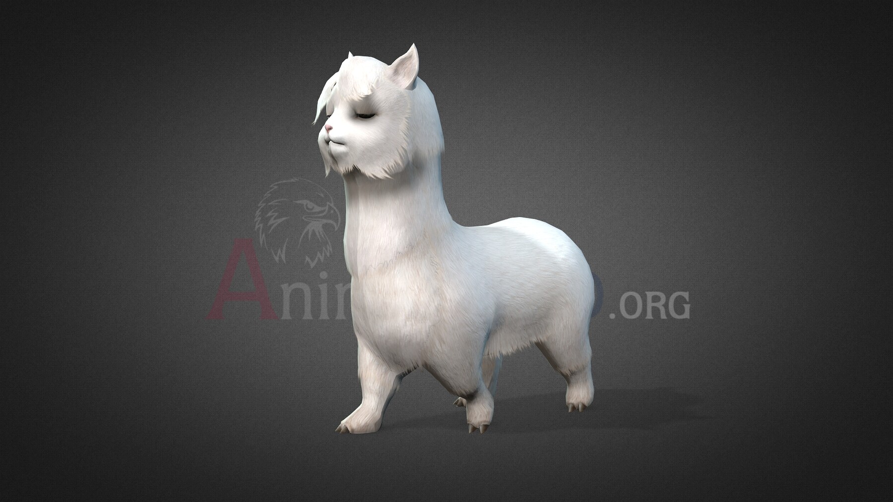 ArtStation - Alpaca-1-Walk | Game Assets