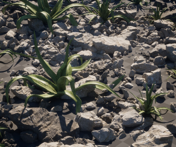 ArtStation - Aloe Vera - Ready to use on UE5 - High Resolution | Game ...