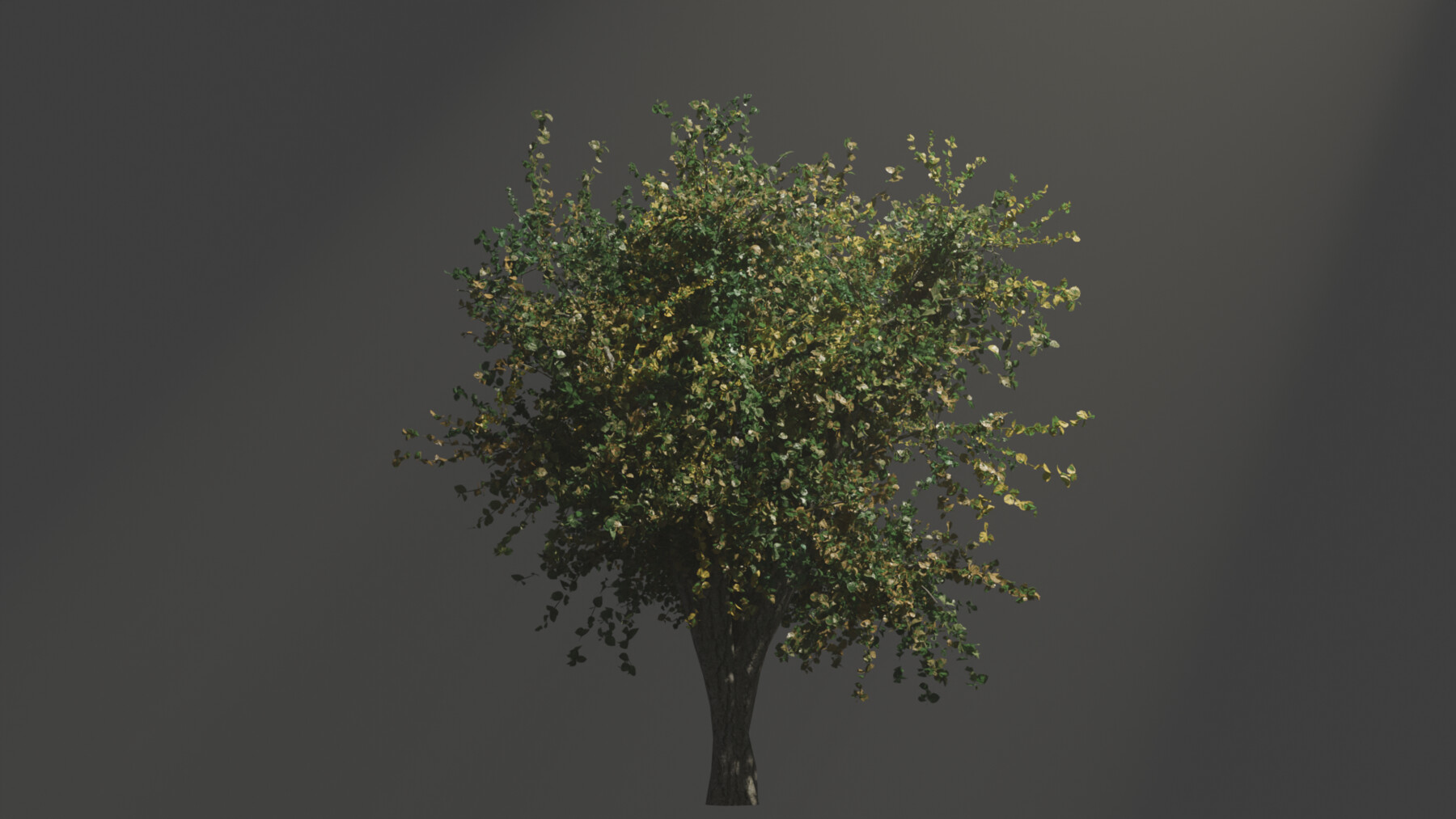 ArtStation - tree | Resources