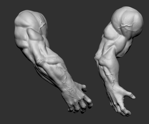 ArtStation - Arm basemesh | Resources