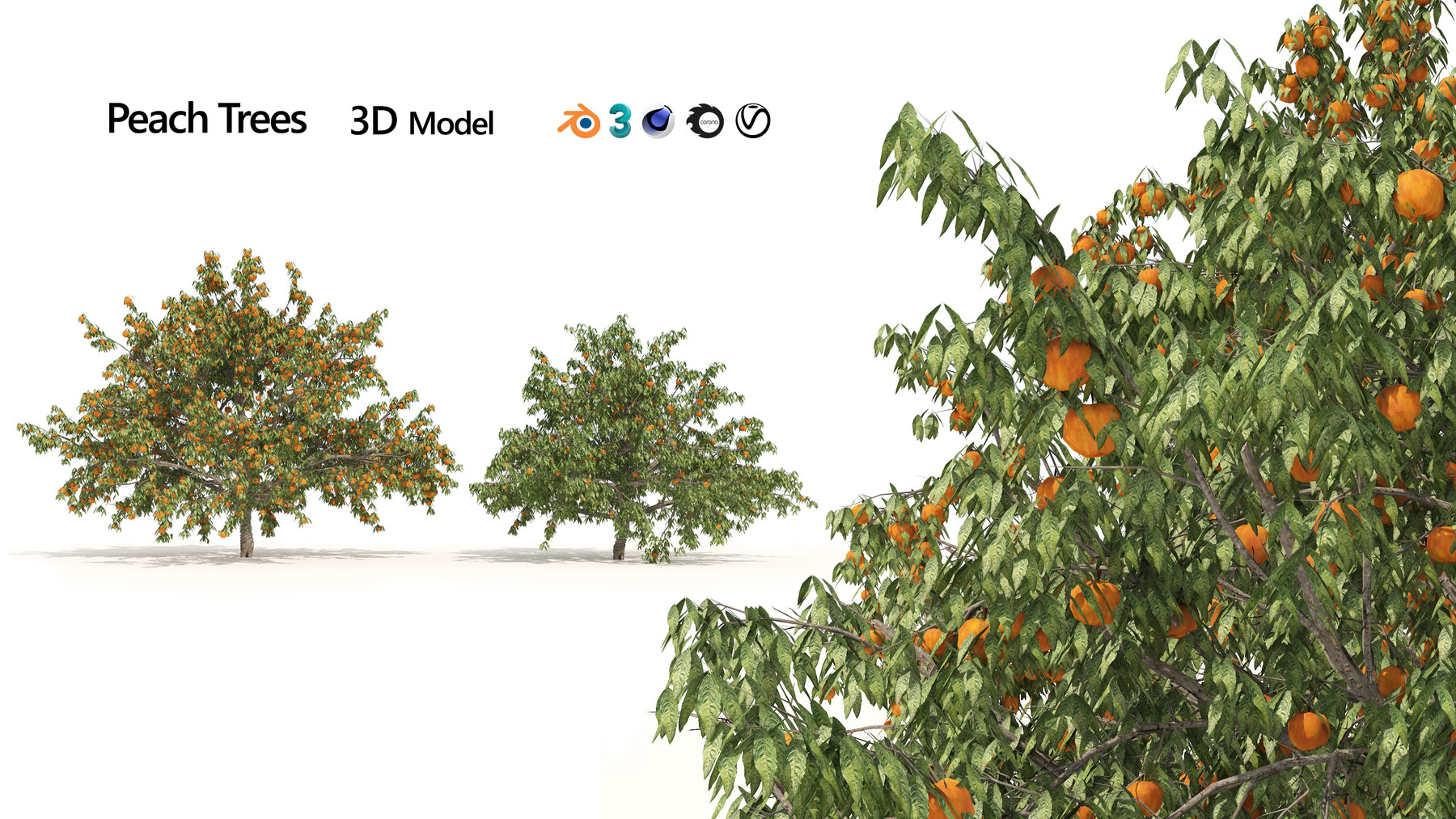 ArtStation - 2 Freestone Peach fruit Trees | Game Assets