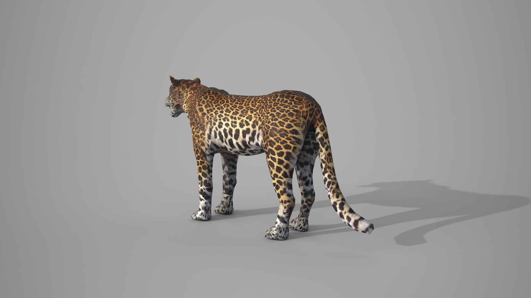 ArtStation - Leapord Animal | Game Assets