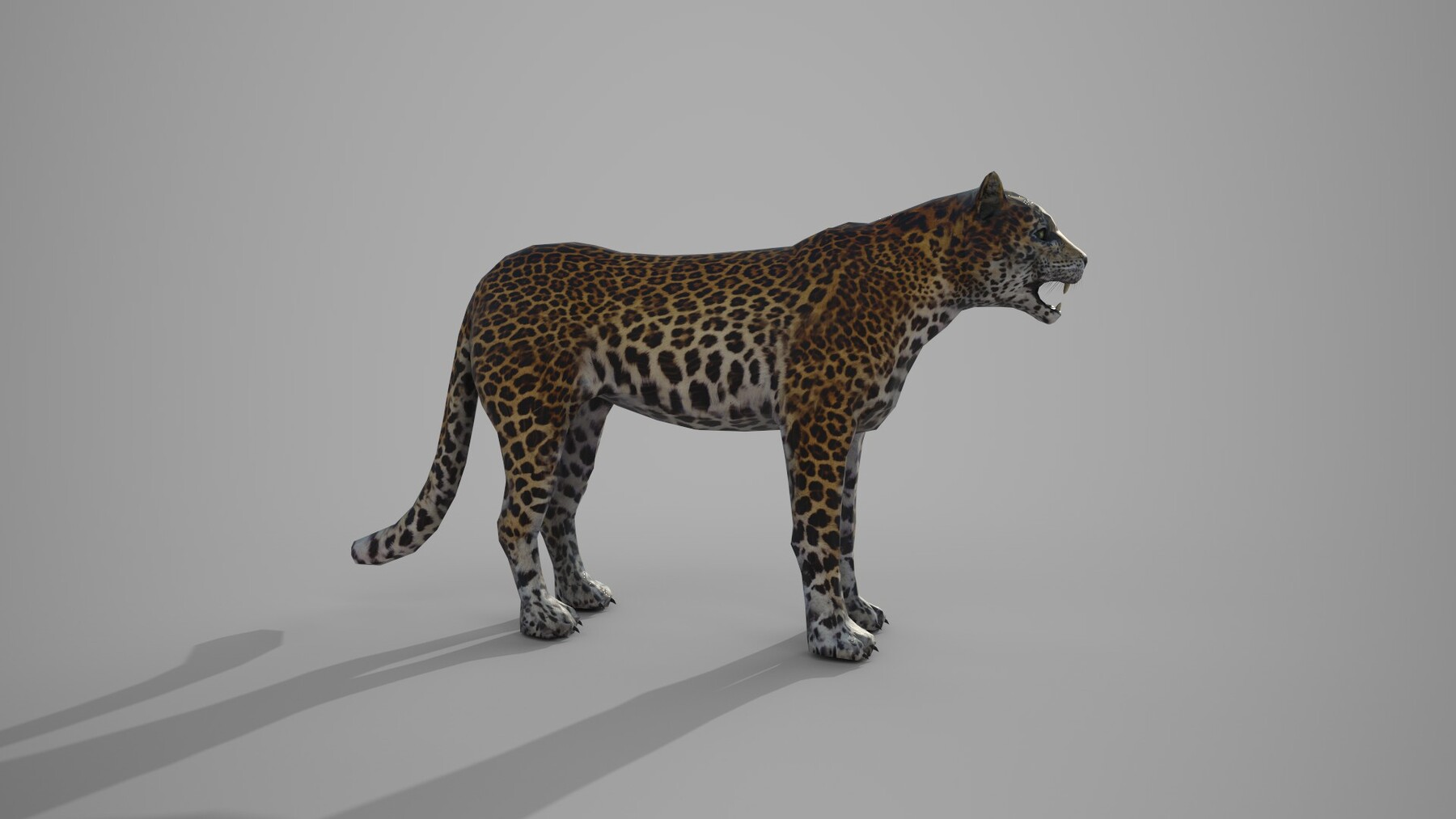 ArtStation - Leapord Animal | Game Assets