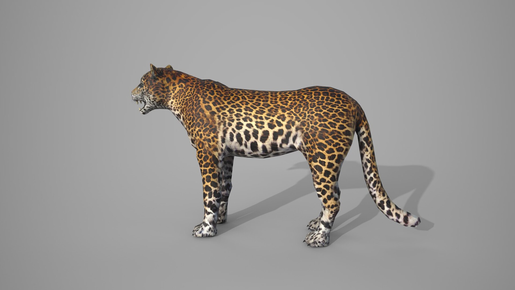 ArtStation - Leapord Animal | Game Assets