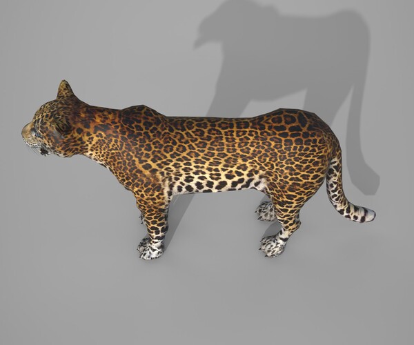 ArtStation - Leapord Animal | Game Assets