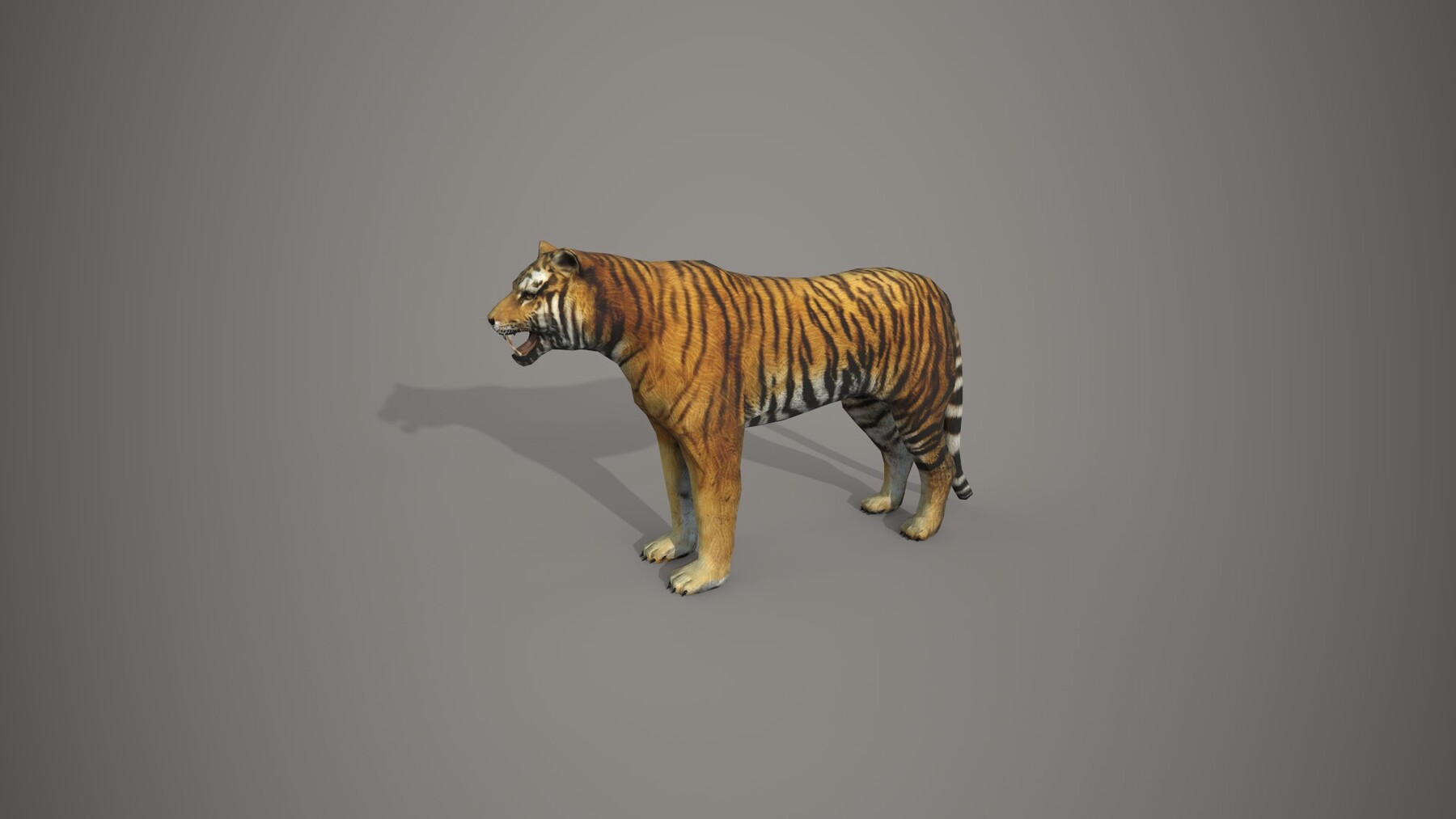 ArtStation - Bengali Tiger | Game Assets